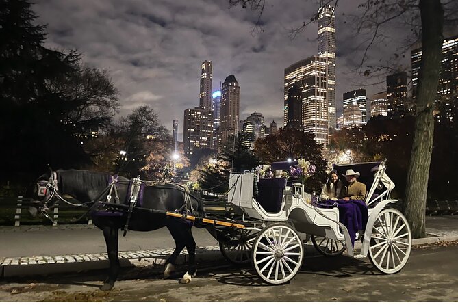 Luxury Horse and Carriage Tours in Central Park - FAQ
