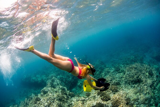 Luxury Kona Coast Snorkel Tour Including Lunch - Authentic Highlights from Reviewers