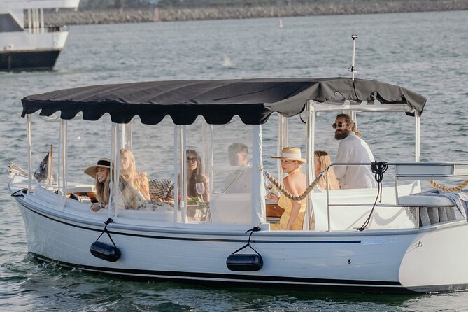 Luxury Private Miami River E-Boat Cruise & Wine and Charcuterie - The Cost and Value
