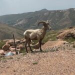 Luxury Private Van to Pikes Peak Garden of Gods - Family-Friendly and Flexible Experience