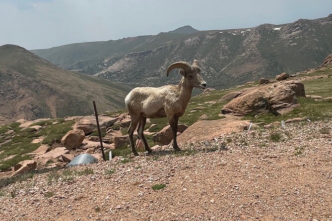 Luxury Private Van to Pikes Peak Garden of Gods - Family-Friendly and Flexible Experience