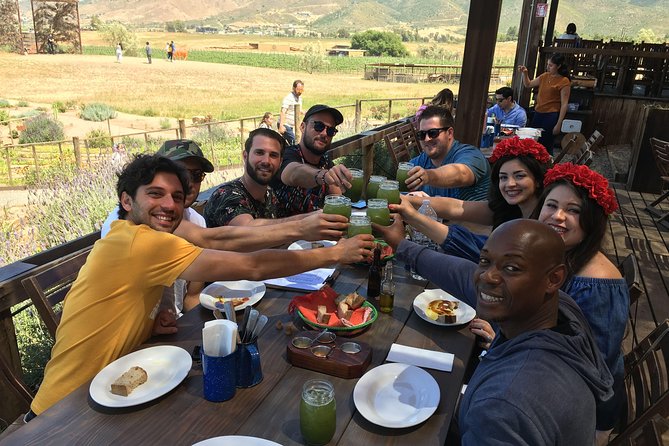 Luxury Private Wine Tasting Tour to Guadalupe Valley from San Diego - Key Points