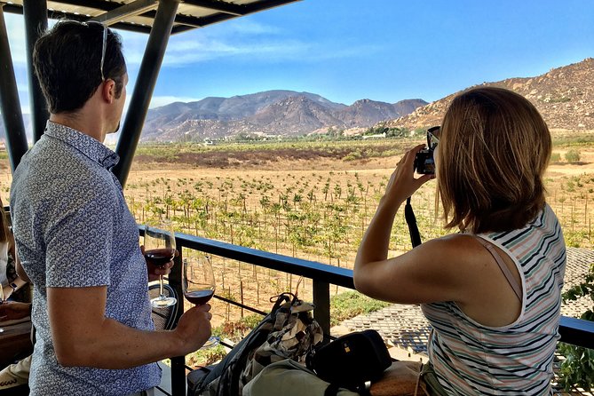 Luxury Private Wine Tasting Tour to Guadalupe Valley from San Diego - The Itinerary in Detail