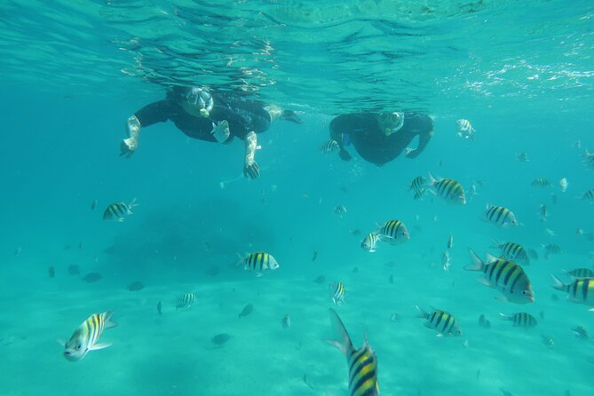 Luxury Snorkeling on Your Vacation Exclusively Private Guaranteed - The Value of the Tour