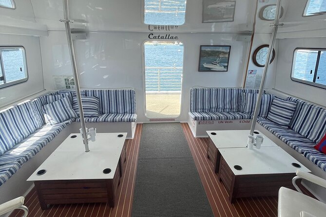 Luxury Whale Watching: Fewer People, Extra Speed, Expert Staff - Practical Tips for Your Trip