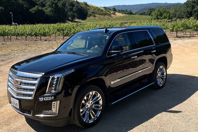 Luxury Wine Tour in Paso Robles, with a Winemaker - Key Points