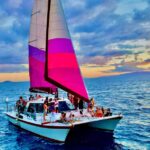 Maalaea Harbor: Sunset Sail on a Charming Hawaiin Catamaran - Why This Tour Works Well