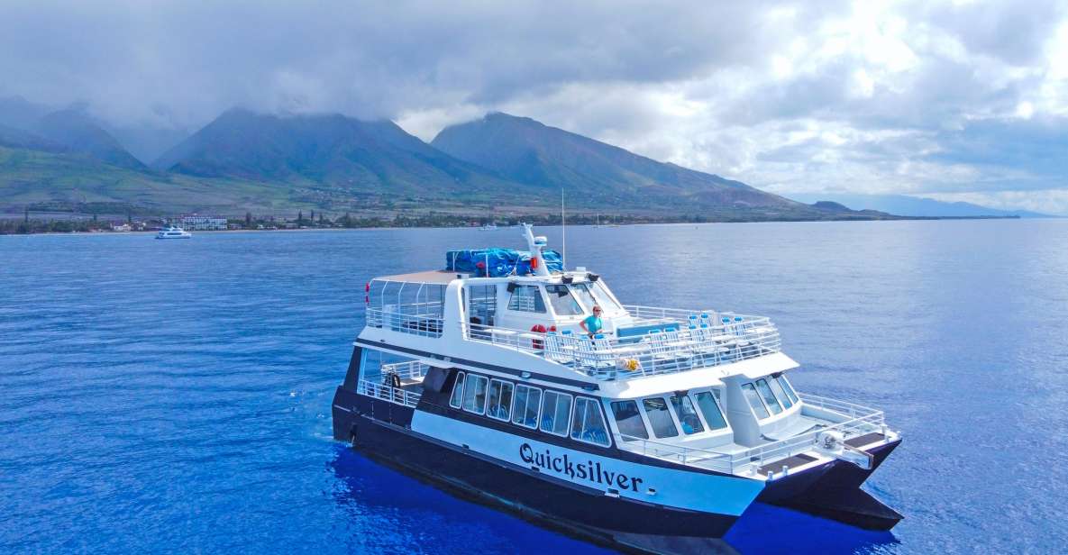 Ma'alaea Harbor: Whale Watching Tour Aboard Power Catamaran - The Itinerary in Detail