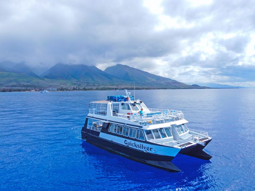 Ma'alaea Harbor: Whale Watching Tour Aboard Power Catamaran - Why This Tour Offers Great Value  