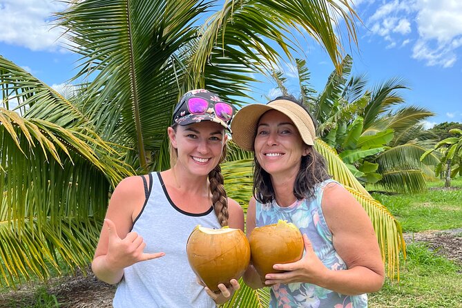 Macnut Tour, Picnic lunch and Maui Bees - Engaging Maui Experience: Macnut Tour, Picnic Lunch, and Maui Bees