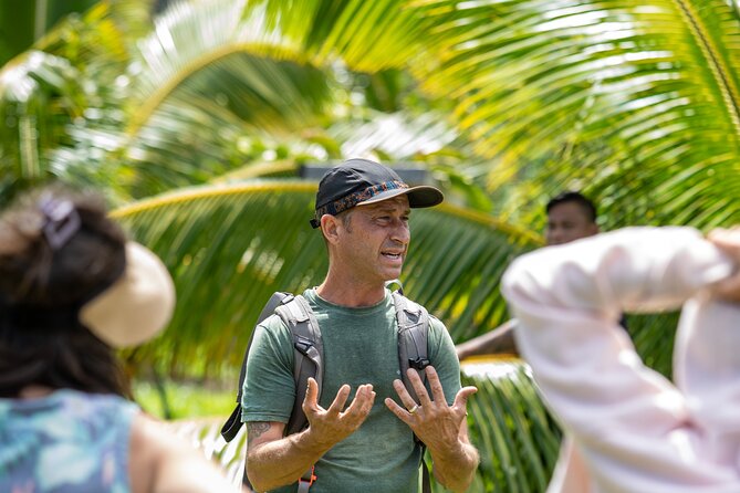 Macnut Tour, Picnic lunch and Maui Bees - Who Will Love This Tour?