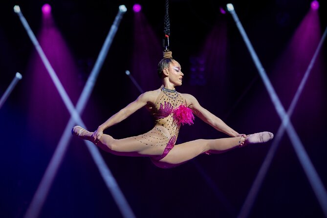 Mad Apple by Cirque du Soleil at New York New York Hotel and Casino - Who Will Love Mad Apple?