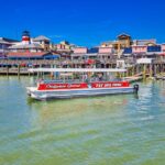 Madeira Beach: Guided Dolphin Watching Eco-Friendly Cruise - Who Would Love This Tour?