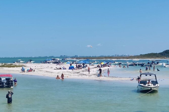 Madeira Beach - Shell Key - Dolphins - Half Day Private Boat Tour - What to Expect from the Madeira Beach Private Boat Tour