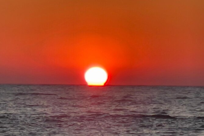 Madeira Beach - Shell Key - Dolphins - Half Day Private Boat Tour - The Sum Up: Who Will Love This Tour?