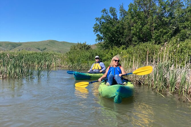Madison River Guided Kayak Tour - Who Will Love This Tour?