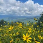 Maggie Valley: Guided Safari Jeep Mile-High Adventure - Final Thoughts