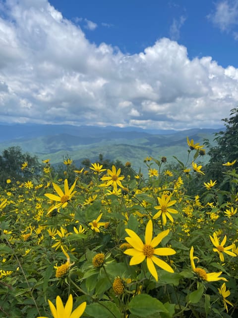 Maggie Valley: Guided Safari Jeep Mile-High Adventure - Final Thoughts