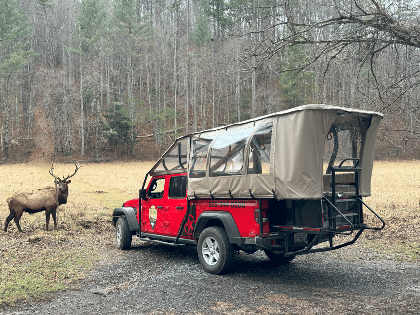 Maggie Valley: Guided Safari Jeep Mile-High Adventure - FAQs