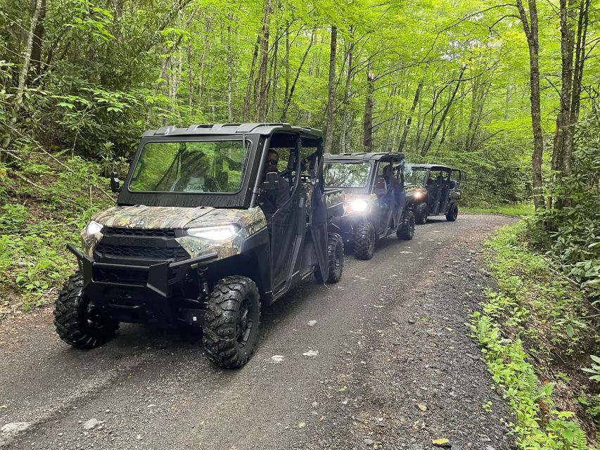 Maggie Valley: Guided Scenic UTV Adventure - Who Should Consider This Tour?