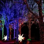 Magical Christmas Walking Tour in Atlanta - Exploring the Itinerary in Detail