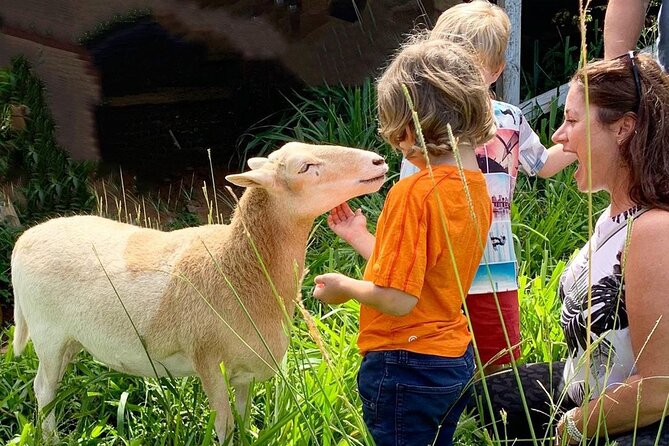 Magical Creatures Sanctuary Private Tour - Key Points