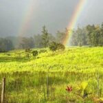 Magical Creatures Sanctuary Private Tour - Who Will Love This Experience?