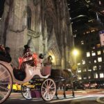 Magical Evening Horse-Drawn Carriage through NYC (65 min) - The Experience on the Ground: Itinerary Breakdown