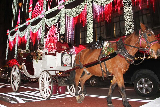 Magical Evening Horse-Drawn Carriage through NYC (65 min) - Authentic Experiences and Noteworthy Details