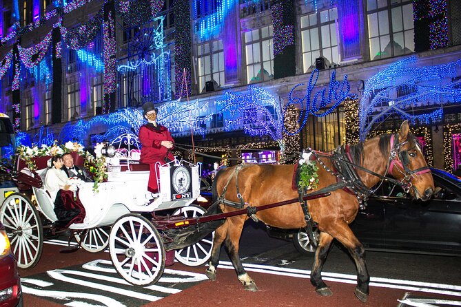 Magical Evening Horse-Drawn Carriage through NYC (65 min) - Potential Drawbacks and Considerations