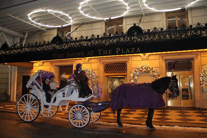 Magical Evening Horse-Drawn Carriage through NYC (65 min) - Who Will Enjoy This?
