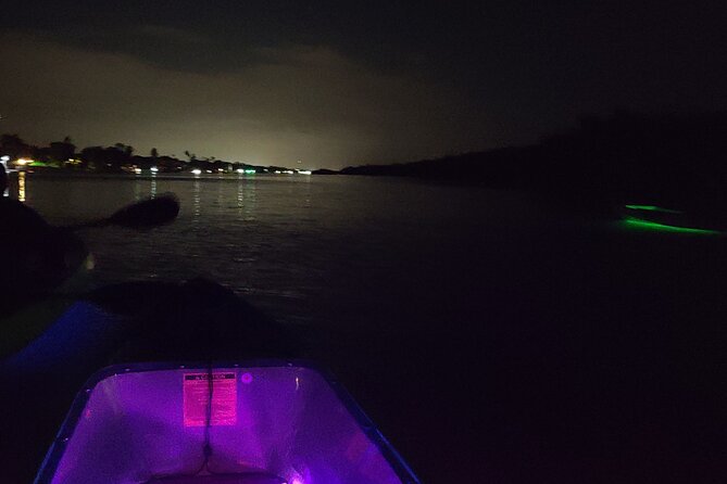 Magical Nite Glow Kayak Tour - An In-Depth Look at the Magical Nite Glow Kayak Tour