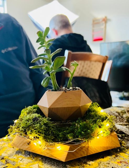 Magnetic Floating Terrarium Workshop - FAQ