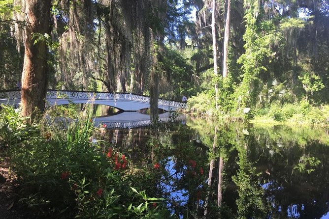 Magnolia Plantation Admission & Tour with Transportation from Charleston - Who Will Love This Tour?