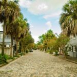 Magnolia Plantation Tour with transportation PLUS City Bus Tour - An In-Depth Look at the Tour Itinerary