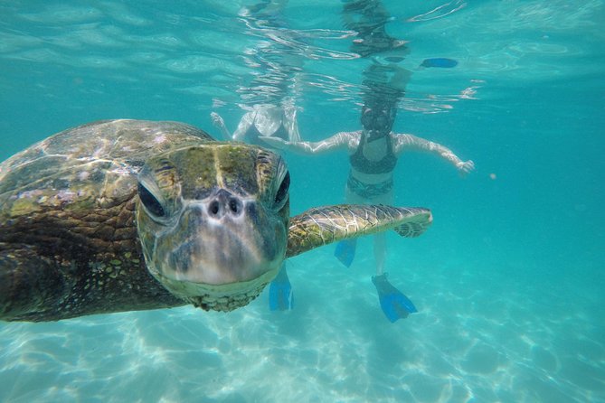 Mahina Hawaii Full Day Adventure - Final thoughts
