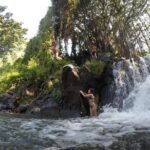 Mahina Hawaii Full Day Adventure - FAQ