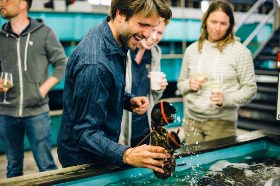 Maine: Belfast VIP Private Harbor Cruise - FAQ