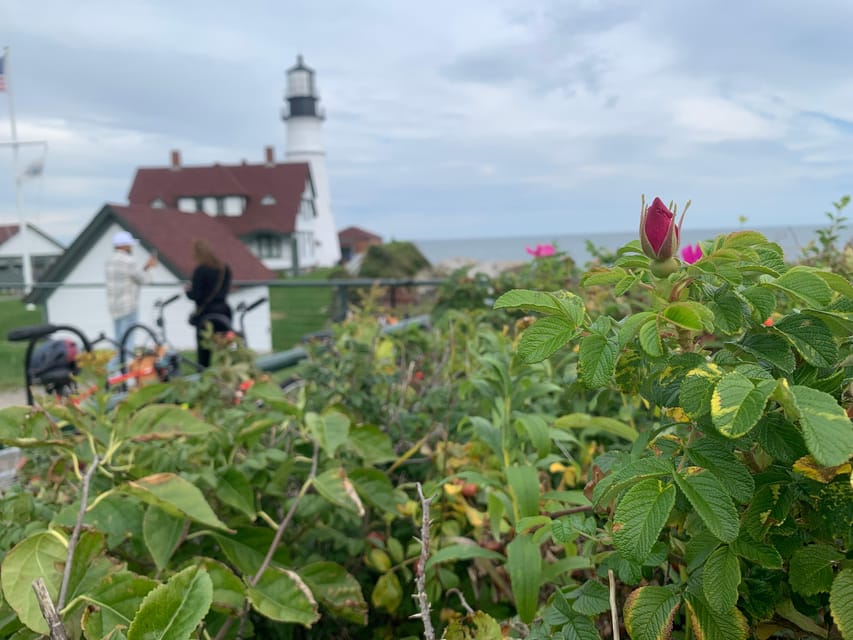 Maine Coast: Bicycle Rentals - A Fresh Take on Coastal Exploring