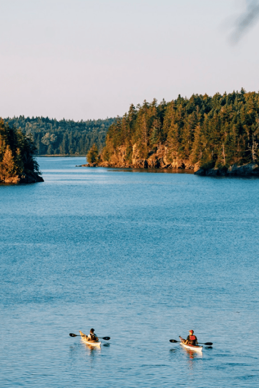Maine: Full or Half-Day Single Kayak Rental - Who Will Love This Experience?