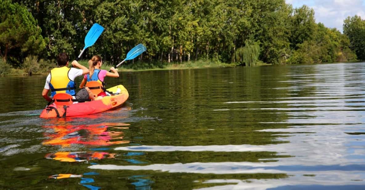 Maine: Half-Day Double Kayak Rental - Final Thoughts