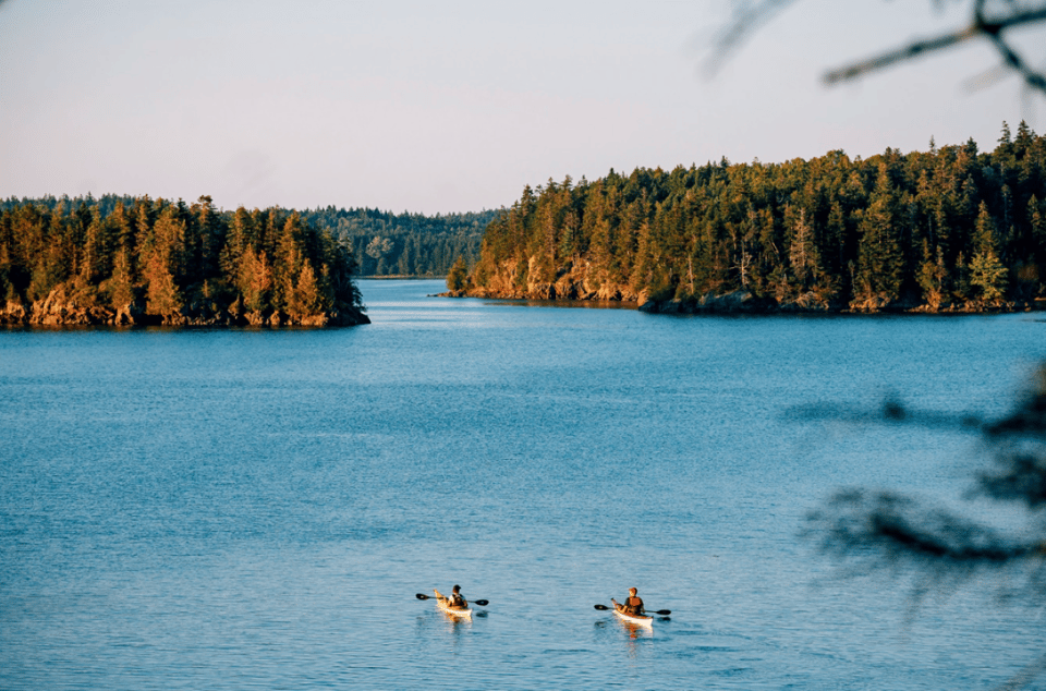 Maine: Half-Day Single Kayak Rental - The Locations and What They Offer