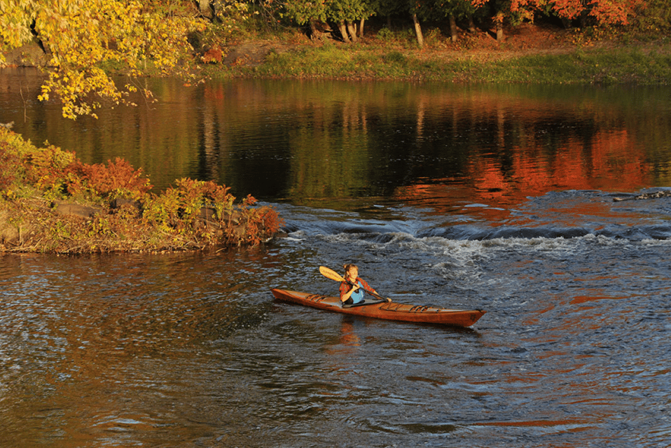Maine: Half-Day Single Kayak Rental - Who Should Consider This?