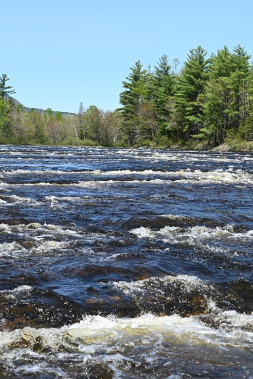 Maine: Penobscot Downriver Boat Rides - Key Points