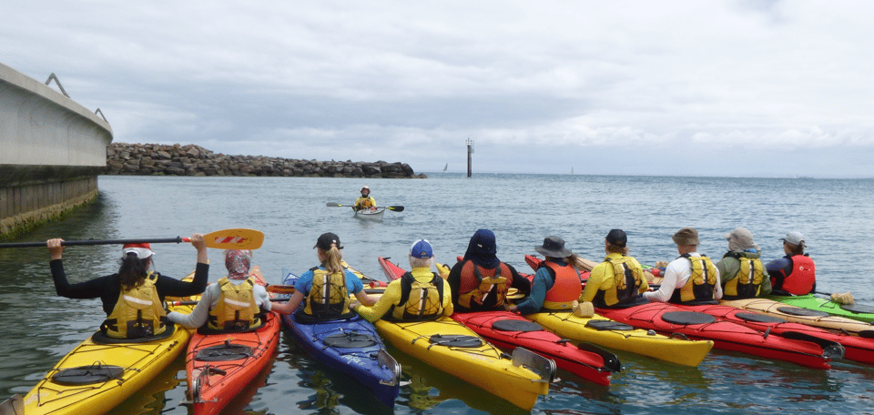 Maine: Penobscot River Guided Kayaking Tour - Key Points