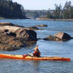 Maine: Penobscot River Guided Kayaking Tour - What to Expect on Your Kayaking Journey