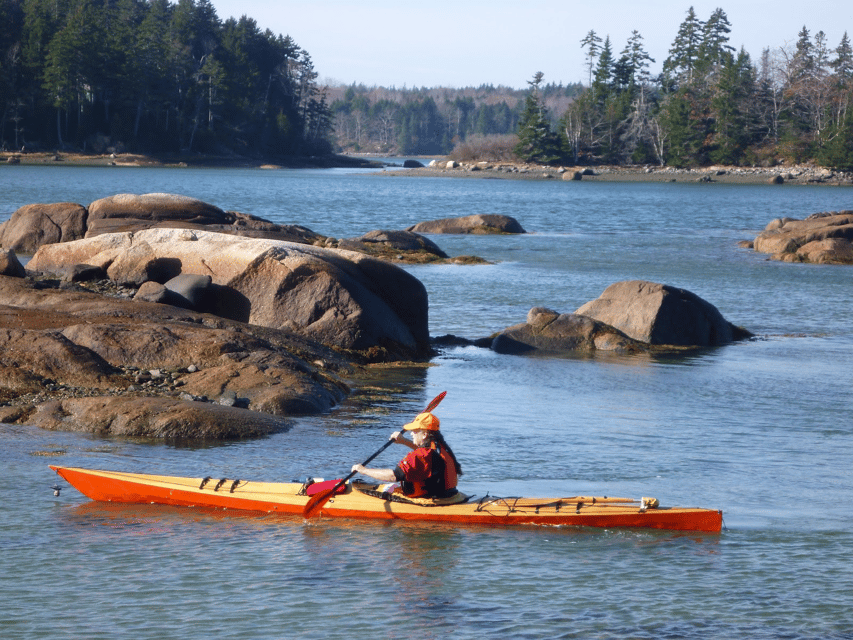 Maine: Penobscot River Guided Kayaking Tour - What to Expect on Your Kayaking Journey