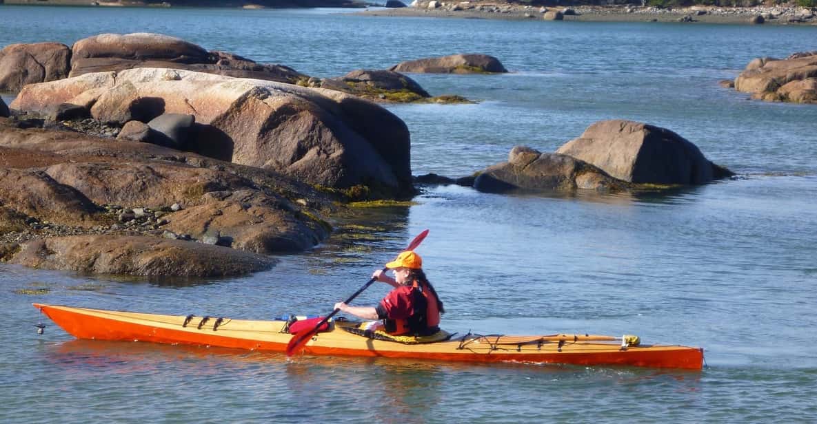 Maine: Penobscot River Guided Kayaking Tour - Is the Price of $72 Worth It?