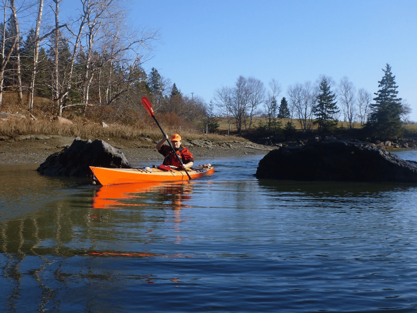 Maine: Penobscot River Guided Kayaking Tour - The Sum Up