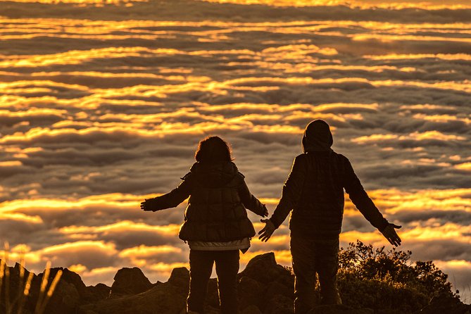 Majestic Haleakala Sunrise Tour with Pick-up - Accessibility and Considerations